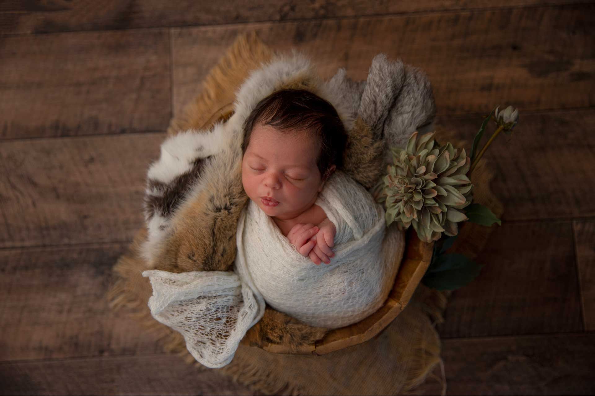 Photographe bébé Albi 📷 Séance photo de naissance